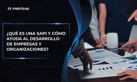 ¿qué es una sapi y cómo ayuda al desarrollo de empresas y organizaciones