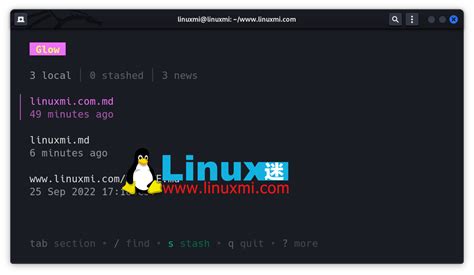 如何使用 Glow 在 Linux 终端中阅读 Markdown 文档 Linux迷