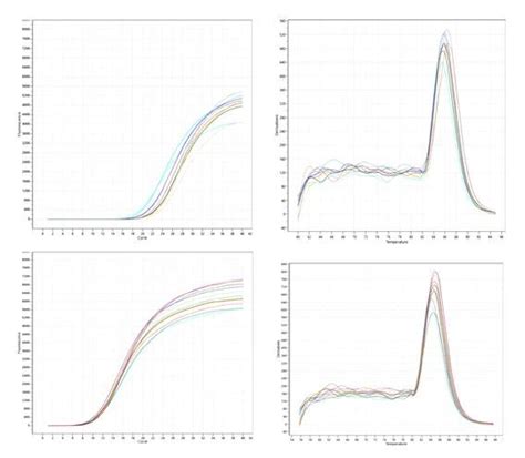 amplification plot and dissociation curve of acacb and gapdh genes