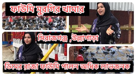 ফাউমি মুরগির খামার এস এস এগ্রো ফার্ম উল্লাপাড়া সিরাজগঞ্জ Youtube