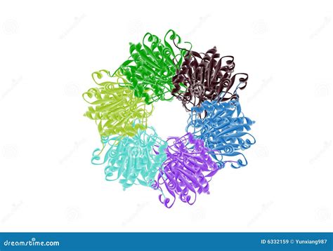Understanding Protein Structure A Visual Guide To Molecular Biology And Function Royalty Free