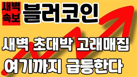 블러코인 새벽속보 새벽 초대박 고래매집 여기까지 급등한다 Youtube