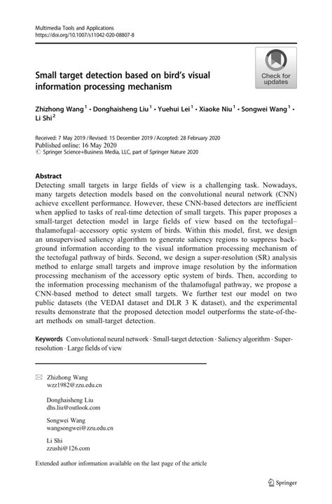 pdf small target detection based on bird s visual information