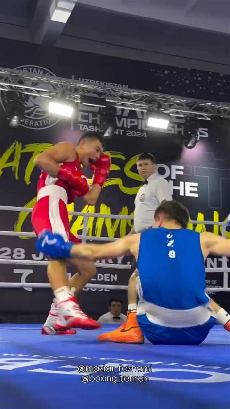 ‎بوکس تهران‎ Boxingtehran • Instagram Photos And Videos