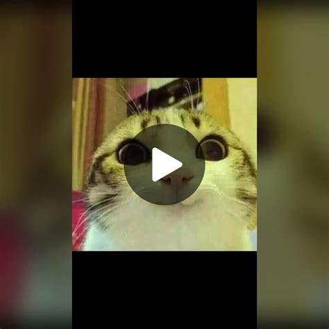 Capcut Potatito🥑🥑 Potato Michisbonitos Michistiktok Michis Me Potato Tiktok