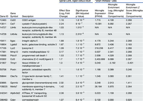 List Of 17 Differentially Expressed Genes Between Aged And Adult Spinal Download Scientific