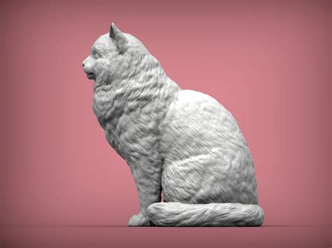 3d File Ragdoll Cat 3d Print Model・3d Printable Model To Download・cults