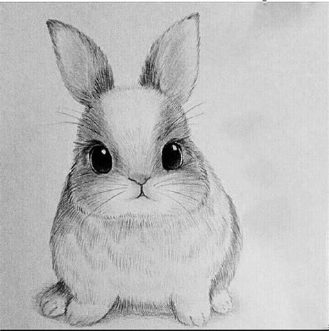 Realistic Pencil Drawing Of A Cute Rabbit
