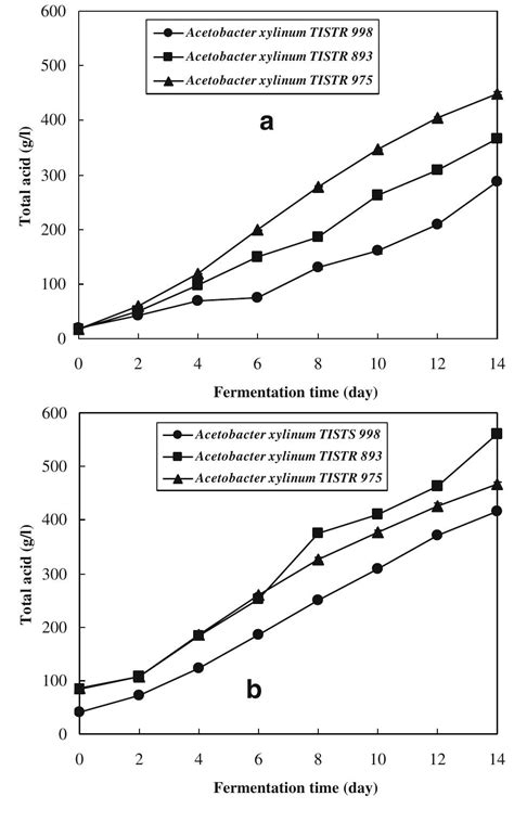 Figure 5 Bacterial Cellulose Production By Acetobacter