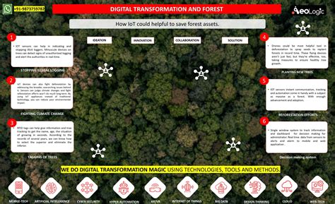 How Iot Could Helpful To Save Forest Asset R Iot