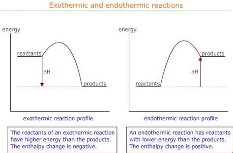 The Energy Diagram For Endothermic Reactions Understanding The Role Of