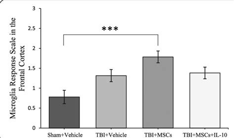 Microglia Activation State In The Frontal Cortex Microglia Were More Download Scientific