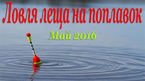 Ловля леща на поплавок. Май 2016 - YouTube