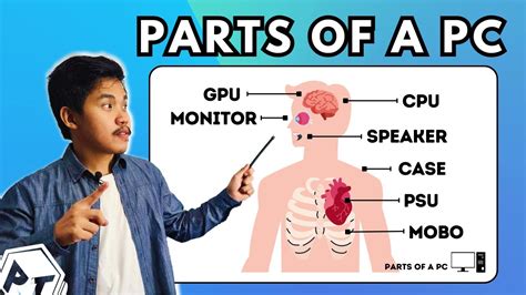 Basic Pc Components Explained ₱60k Gaming Desktop Pc Build Youtube