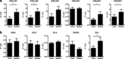 Extracellular Matrix Mrna Profile A Relative Mrna Expression Of