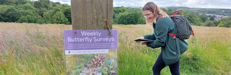Weekly Butterfly Survey At Peel Park And The Coppice LNR Prospects