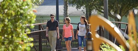 Scholarships Beacon College