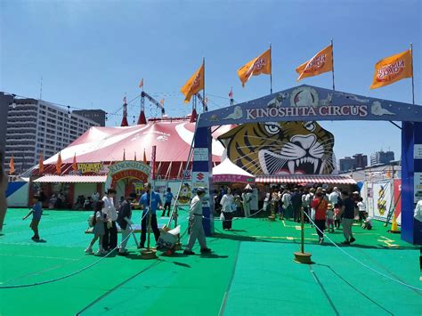 木下大サーカス大阪公演の口コミ ｜5月末の土曜日に子ども3人連れ｜アソビュー！
