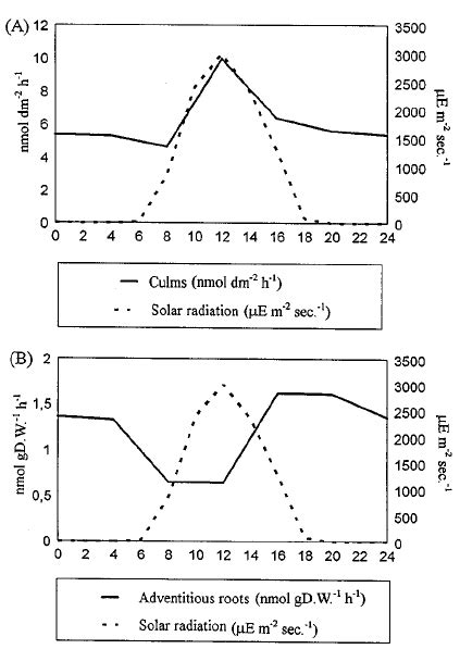 Values Of Incident Solar Radiation And Rates Of Nitrogen Fixation Of
