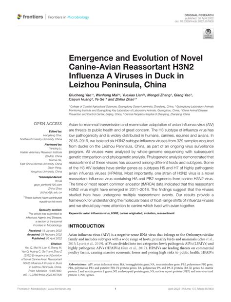 Pdf Emergence And Evolution Of Novel Canine Avian Reassortant H3n2