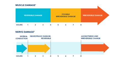 Compass Compartment Pressure Monitor Rehacare New Zealand