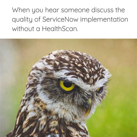 Michael Moch Linkedinde Servicenow Healthscan Servicenowinstance
