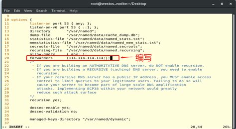 Linux学习笔记——关于dns中高速缓存、正反向及双向解析、辅助dns等企业dns服务器的搭建实验linux Dns Nxdomain