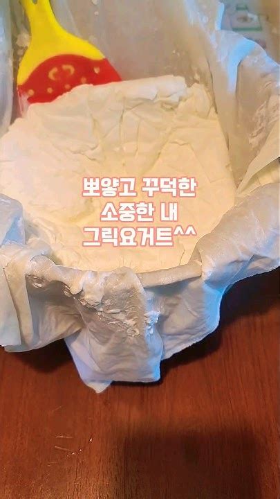 서울우유 플레인요거트로 꾸덕한 그릭요거트 만들기 비싼 그릭요거트 집에서 양껏 먹자 다이어트식단 그릭요거트 그릭요거트만들기 그릭요거트다이어트 Youtube