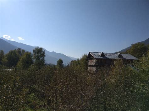 Himalayan Vista Cottage Hostel Reviews Manali India