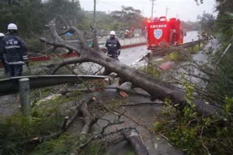 【写真特集】猛烈な風で倒木、冠水相次ぐ 強風にあおられ転倒も 台風6号（8月1日まとめ） Au Webポータル国内ニュース
