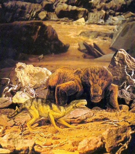 87 Best Images About Mammal Like Reptiles On Pinterest