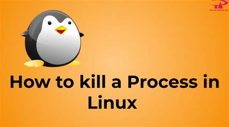 Kill Process Linux Và 4 Vấn đề Liên Quan
