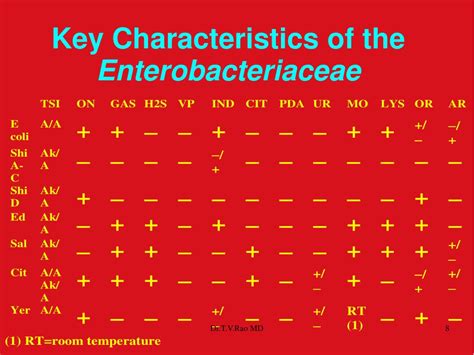 Ppt Biochemical Tests Enterobacteriaceae Powerpoint Presentation