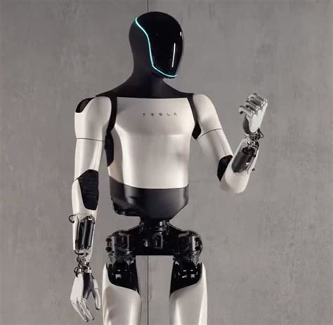 Elon Musk Wants His Army Of Humanoid Robots In Your Home In 2025