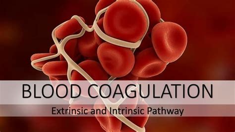 Coagulation Cascade Pptx