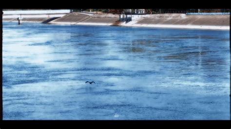 Expert Youtube Video Editor Vlogs Gaming Tutorials By Mann1789 Fiverr