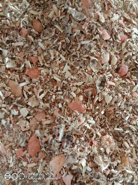Crab Shell Meal At Rs 20 Kg Crab Shells In Alappuzha Id 2853881425312