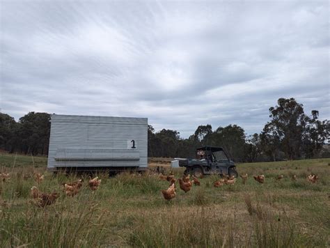 Pasture Raised Eggs Wolki Farm