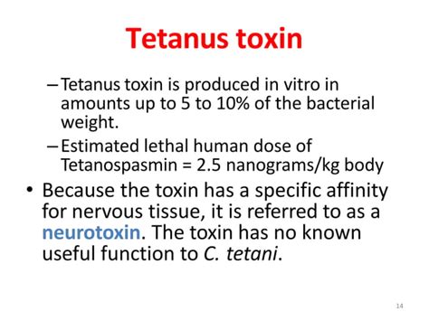 Tetanus Pptx Introduction Pathophysiology Pptx Infectious Diseases Diseases And Conditions