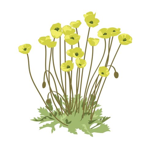 Vegetation Communities And Assemblages Terrestrial Caff