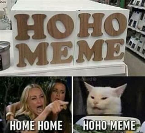 Best Woman Yelling At Cat Memes 28 Of The Funniest Examples Ever