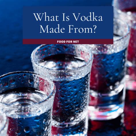 13 Exciting Pickle Juice Vodka Infusions You Have To Try Food For Net