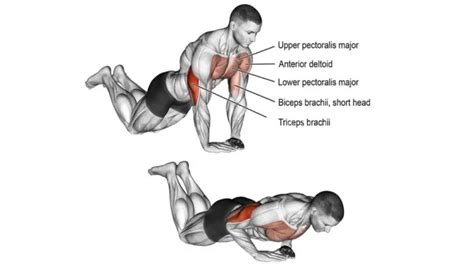 Top 5 Tricep Exercises At Home Without Equipments Tricep Exercises