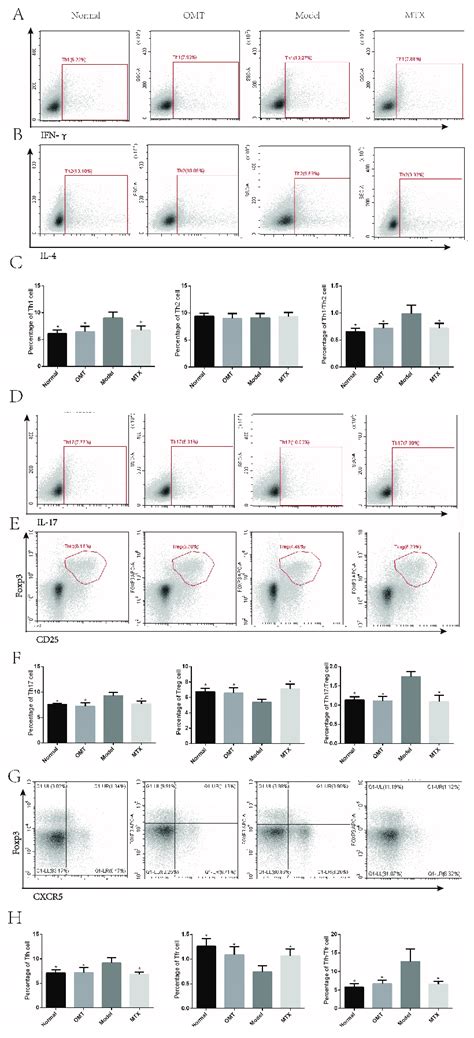 Flow Cytometry Was Used To Detect The Expression Of Th1 Th2 Treg Th17