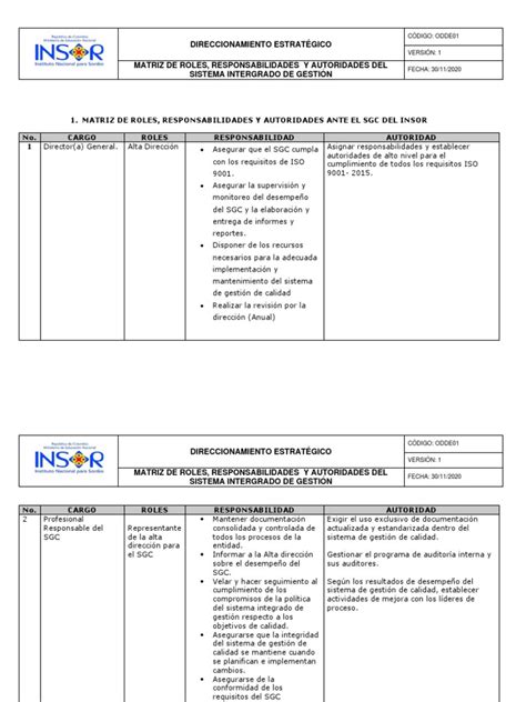 Odde01 Matriz De Roles Responsabilidades Y Autoridades Del Sistema