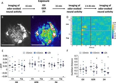 Effect Of Pheromone Components On Neural Odor Processing Af Pheromone