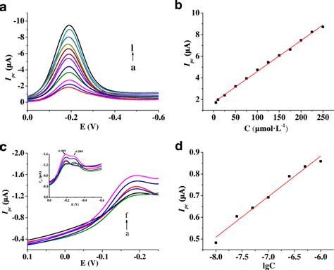Dpvs Of H2o2 In 002 Mol·l⁻¹ Phosphate Buffer Ph 60 On Hbchitmgce Download Scientific
