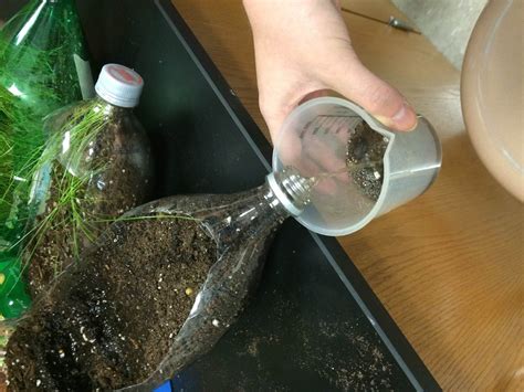 Soil Erosion Lab