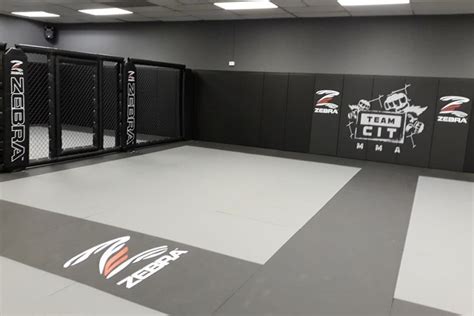 Zebra Mma Mats Martial Arts Mats Puzzle Mats Gym Design Interior