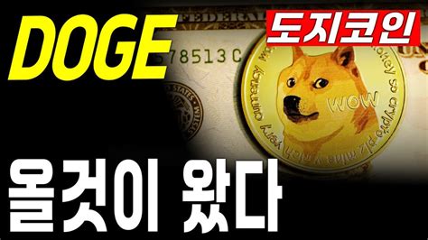 도지코인 전망 도지코인 드디어 올 것이 왔다 도지코인 Doge 비트코인 밈코인 Youtube